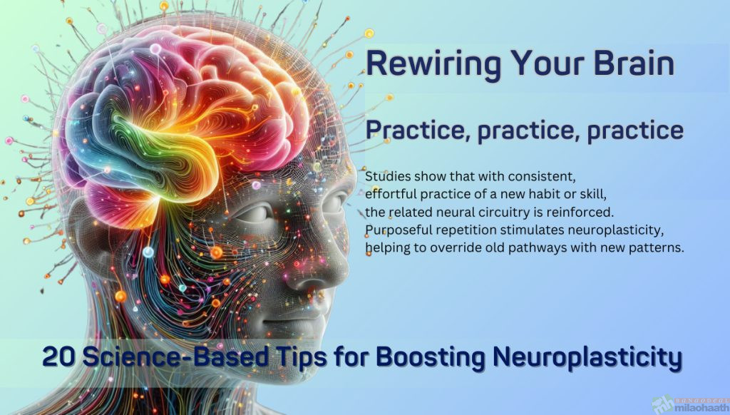 Rewiring Your Brain: 20 Science-Based Tips for Boosting Neuroplasticity - Milao Haath