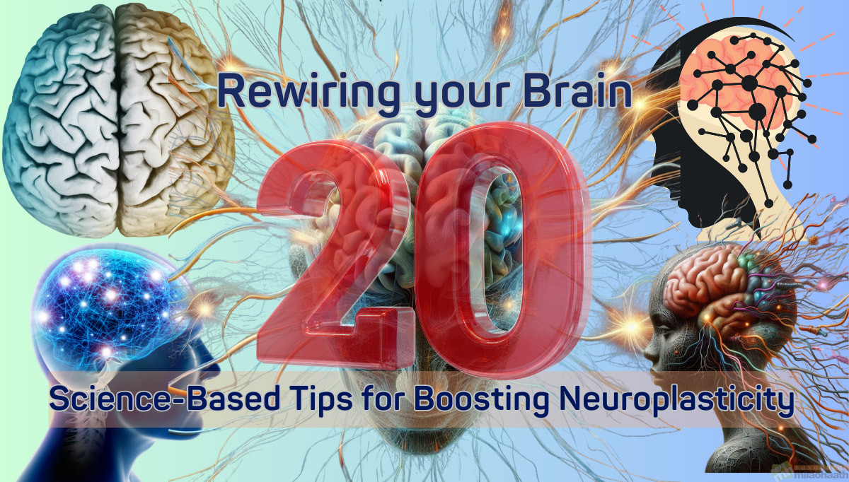 Rewiring Your Brain: 20 Science-Based Tips for Boosting Neuroplasticity - Milao Haath